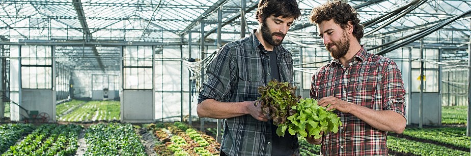 Conheça as principais áreas da Agronomia para atuar!