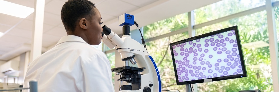 Aprenda as 4 funções mais comuns de um Biólogo!