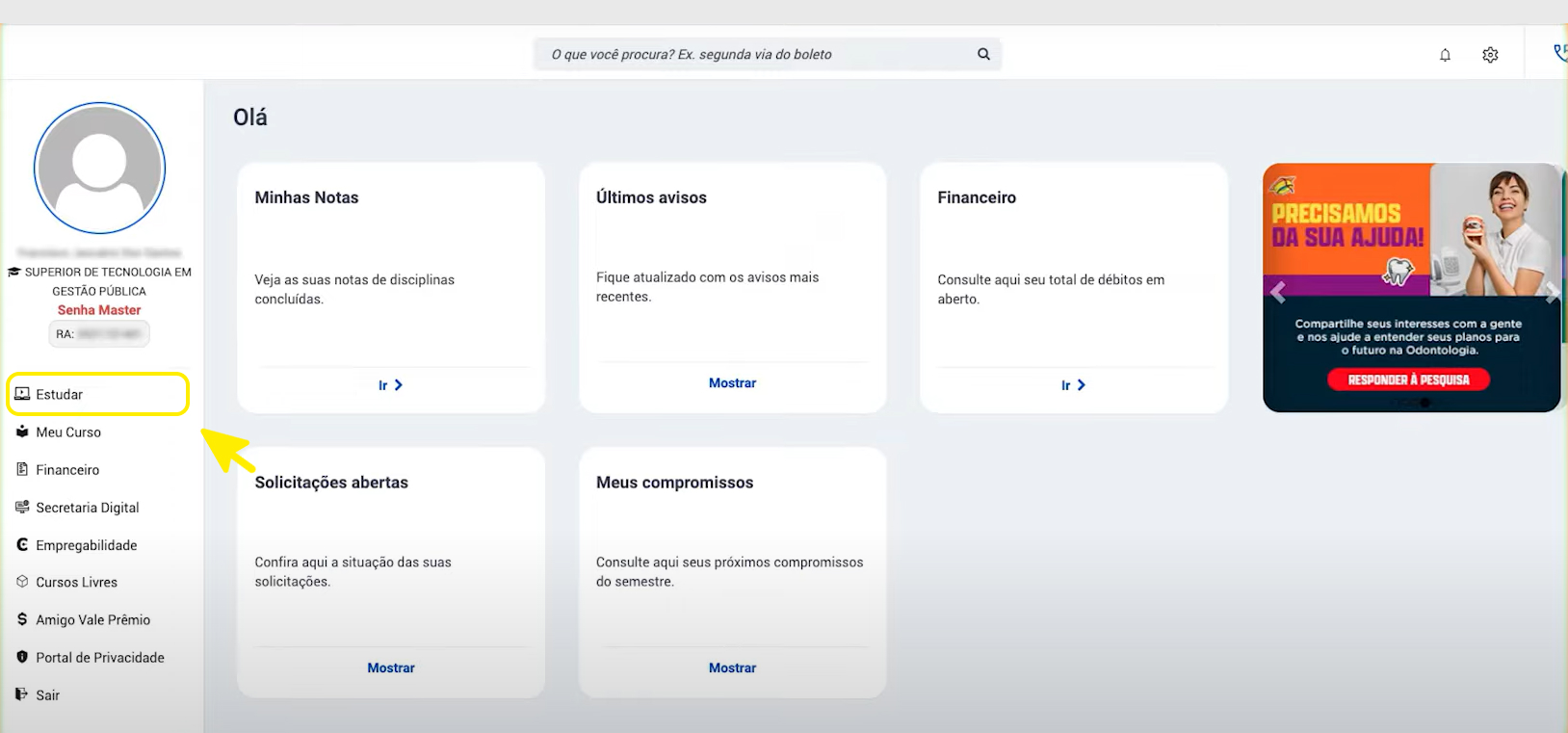 O que é o Ambiente Virtual de Aprendizado AVA e como acessá-lo?